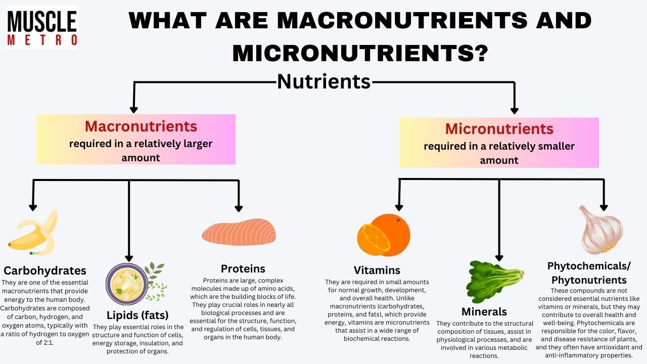 The Difference Between Macro and Micro Diet Explained